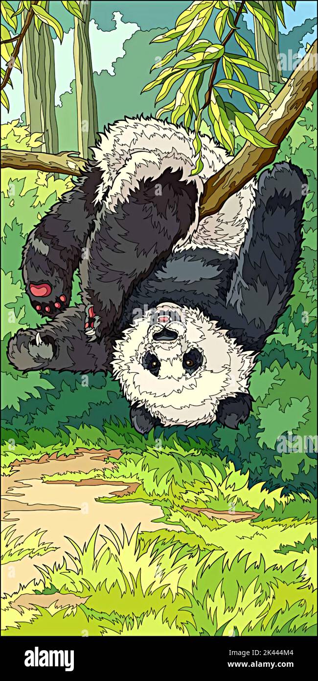 picture of a cute panda hanging on a tree branch Stock Photo - Alamy