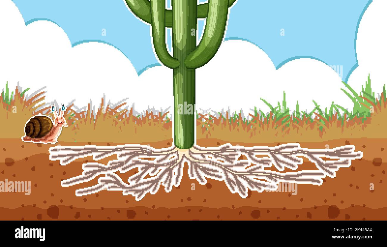 Plant showing roots in soil thumbnail design illustration Stock Vector ...