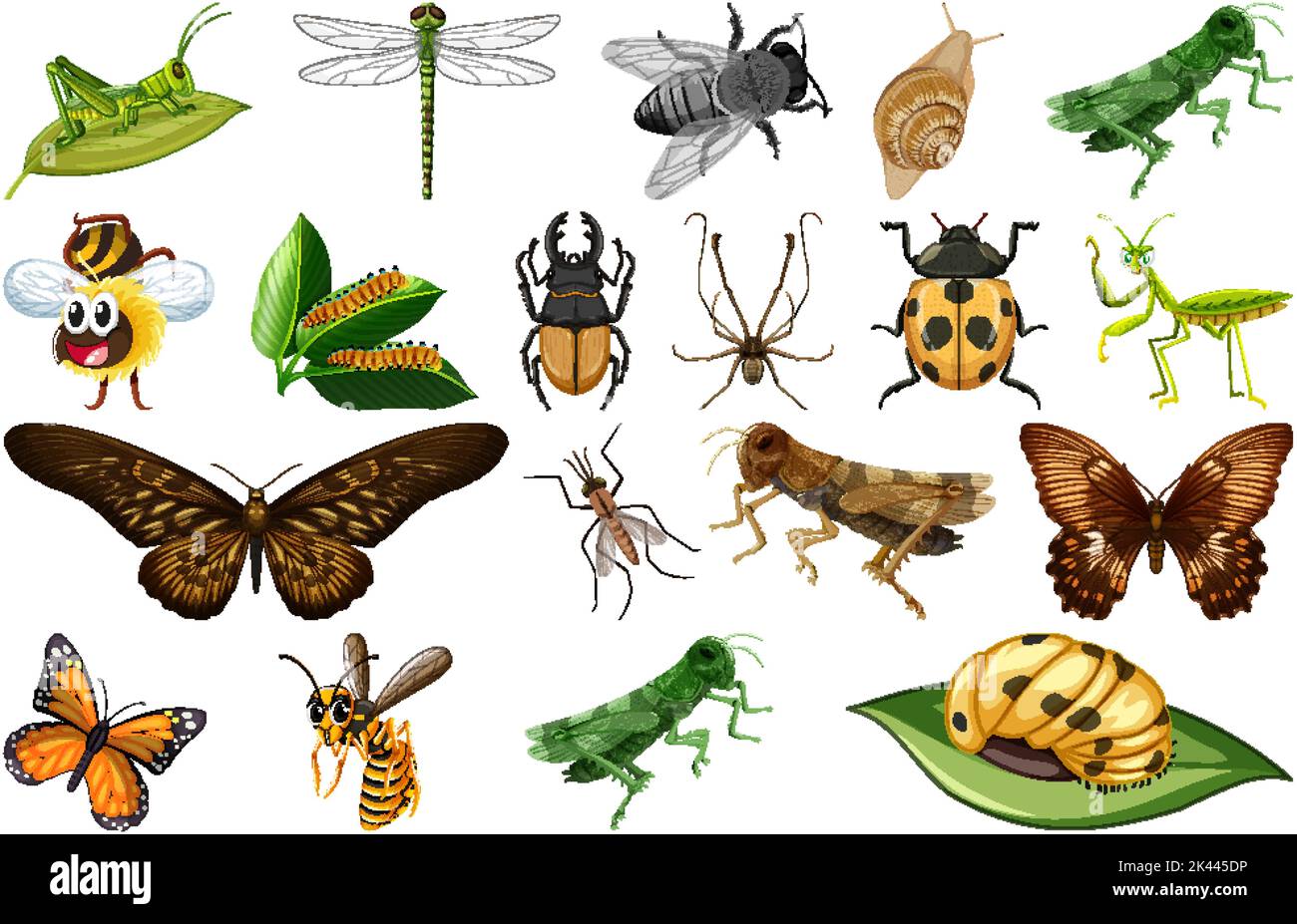 Different kinds of insects collection illustration Stock Vector Image ...