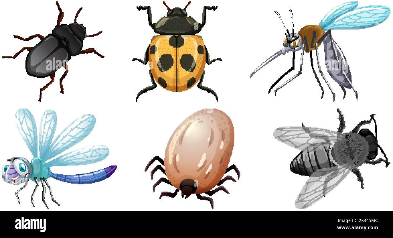 Collection of different insects vector illustration Stock Vector Image ...