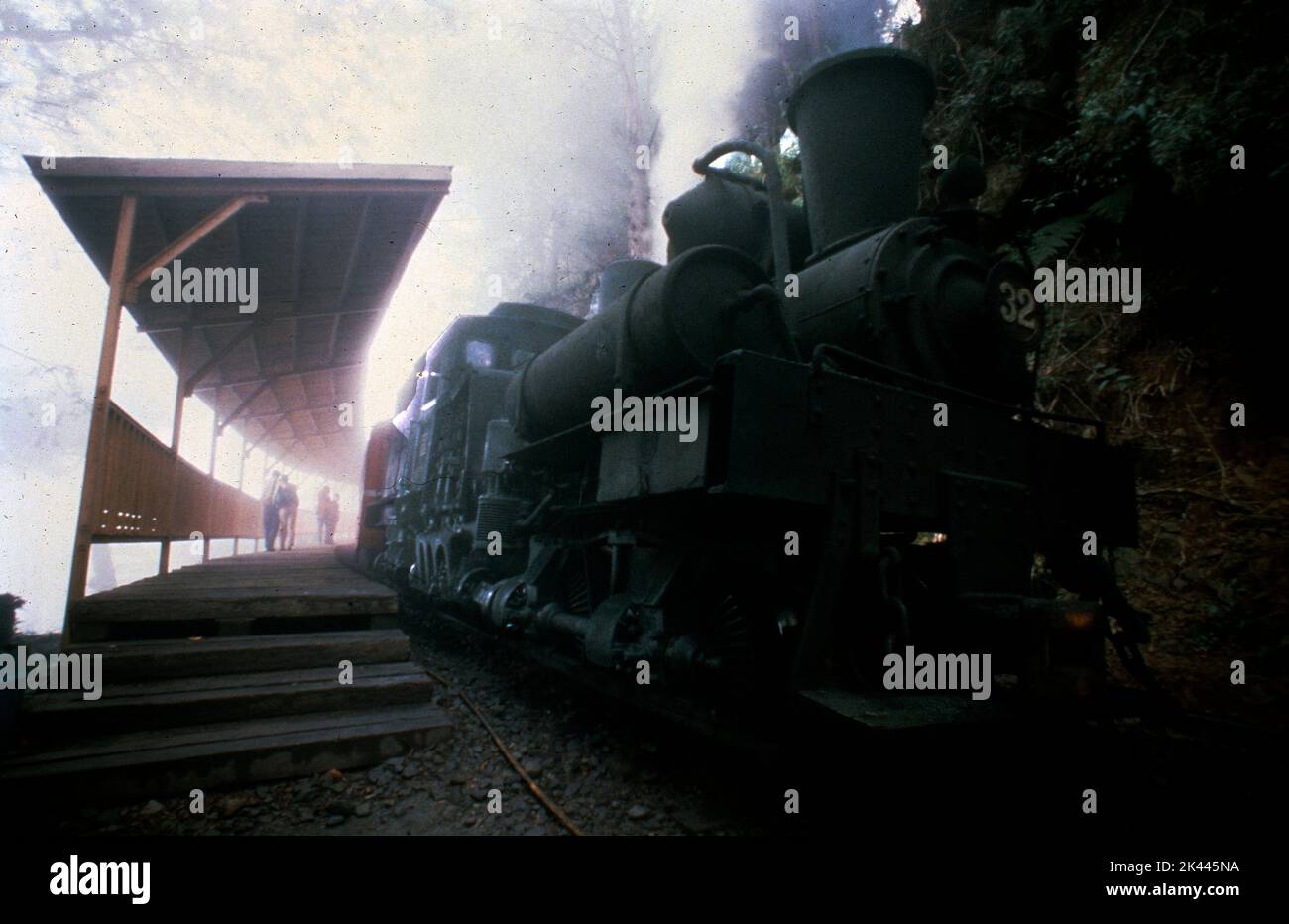A narrow guage steam train of the Alishan Forest Railway Stock Photo ...
