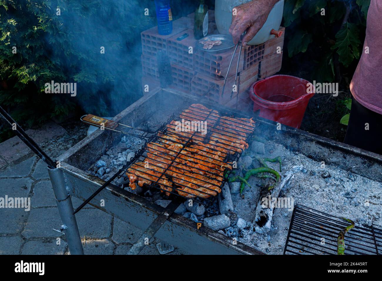 grilled chicken wings . Barbecue on the forest. Cooking chicken on the ...