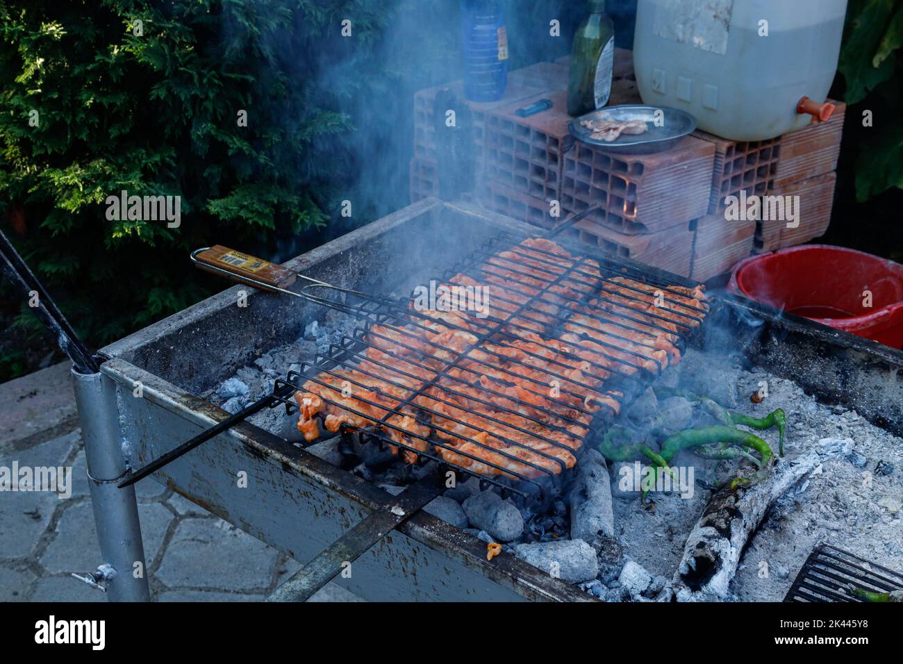 grilled chicken wings . Barbecue on the forest. Cooking chicken on the ...
