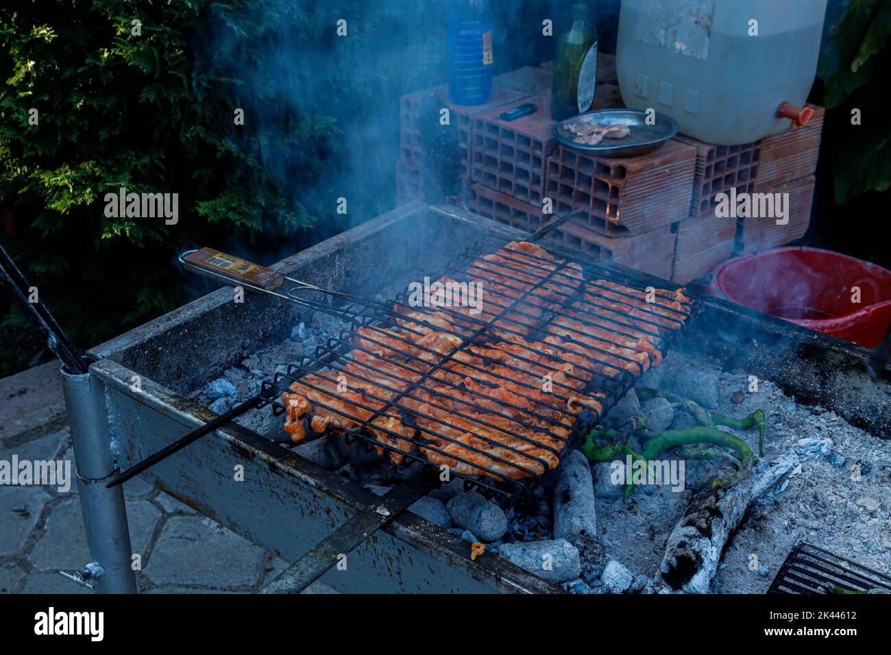 grilled chicken wings . Barbecue on the forest. Cooking chicken on the ...