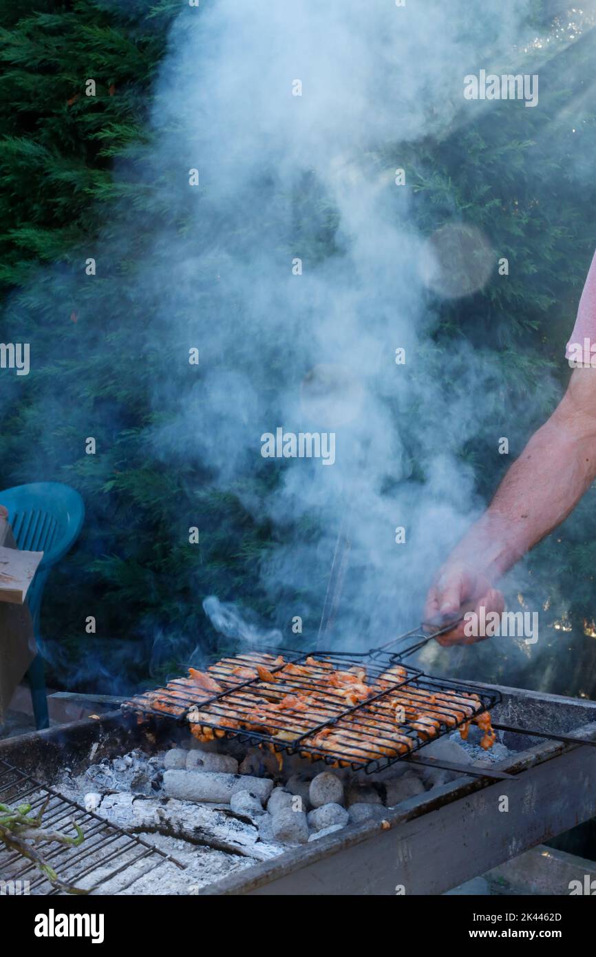 grilled chicken wings . Barbecue on the forest. Cooking chicken on the ...