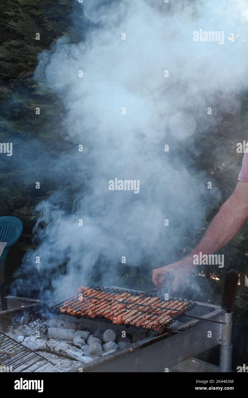 grilled chicken wings . Barbecue on the forest. Cooking chicken on the ...