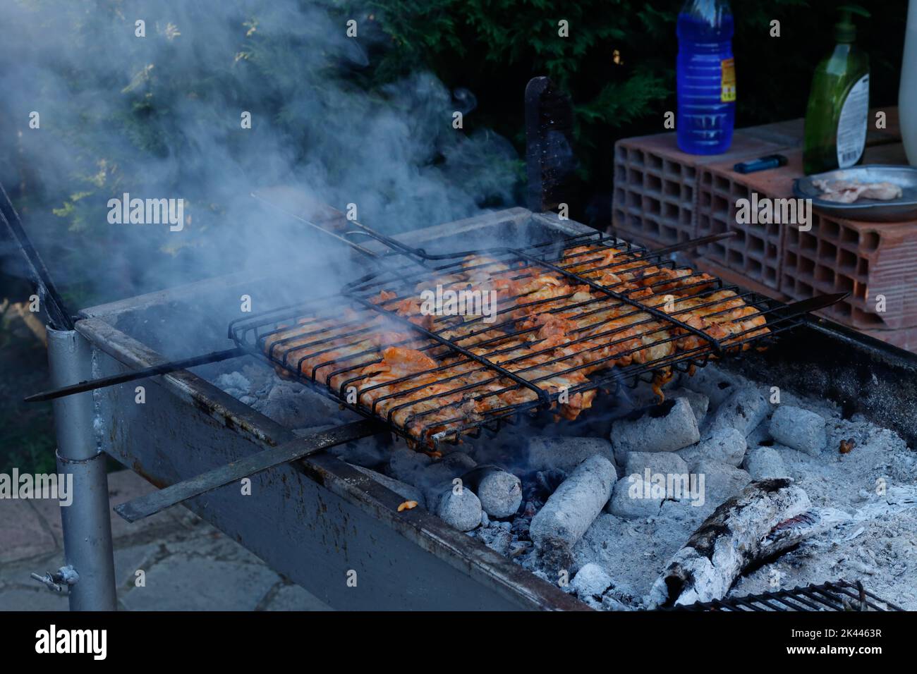 grilled chicken wings . Barbecue on the forest. Cooking chicken on the ...