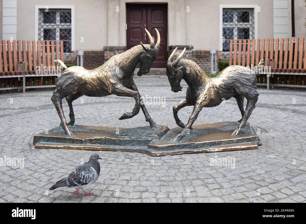 Poznan, Poland - The Fighting Billy Goats of Poznan. Monument on the ...