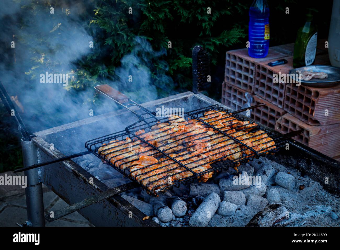 grilled chicken wings . Barbecue on the forest. Cooking chicken on the ...