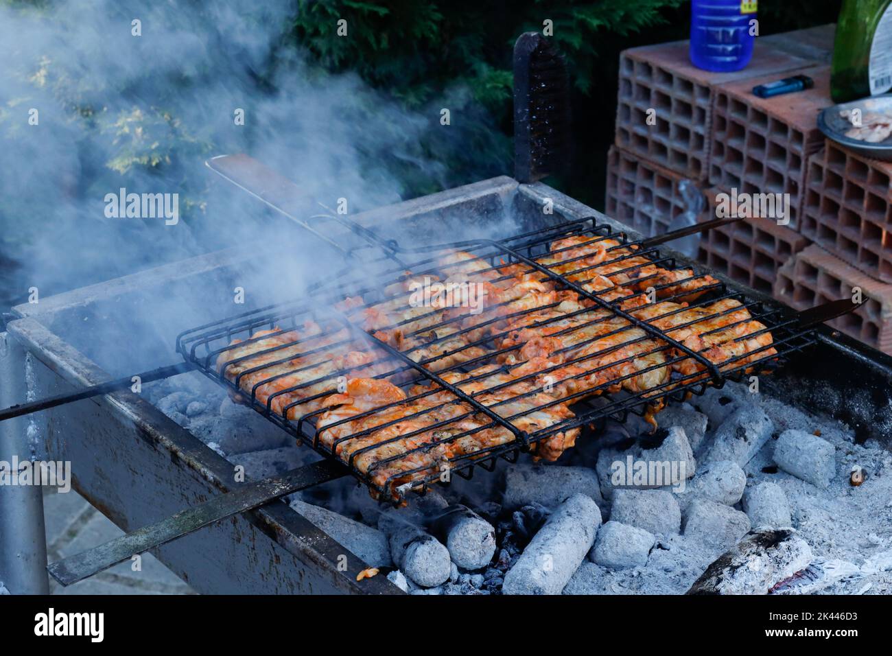 grilled chicken wings . Barbecue on the forest. Cooking chicken on the ...