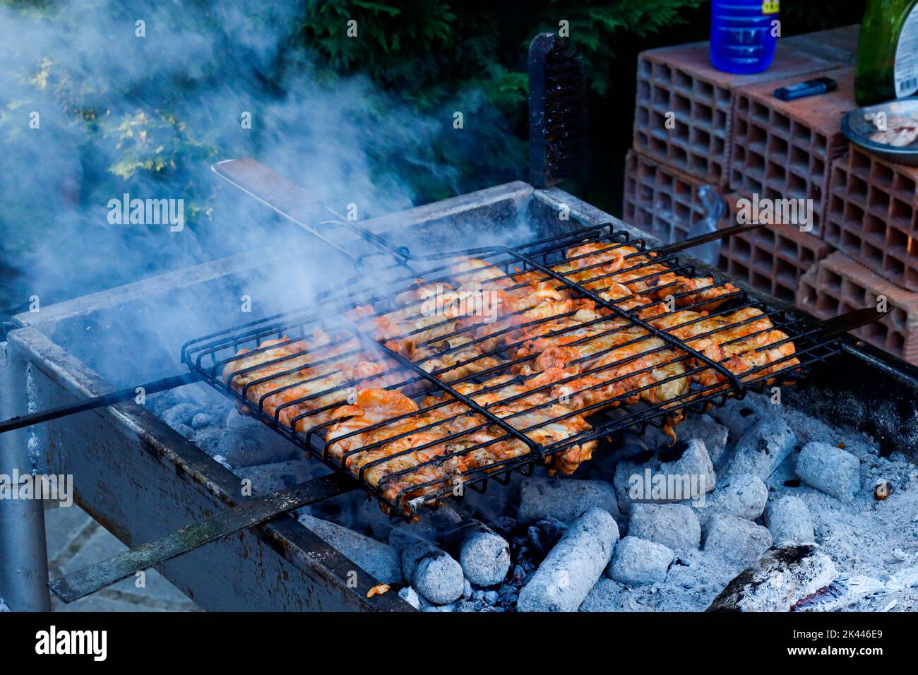 grilled chicken wings . Barbecue on the forest. Cooking chicken on the ...