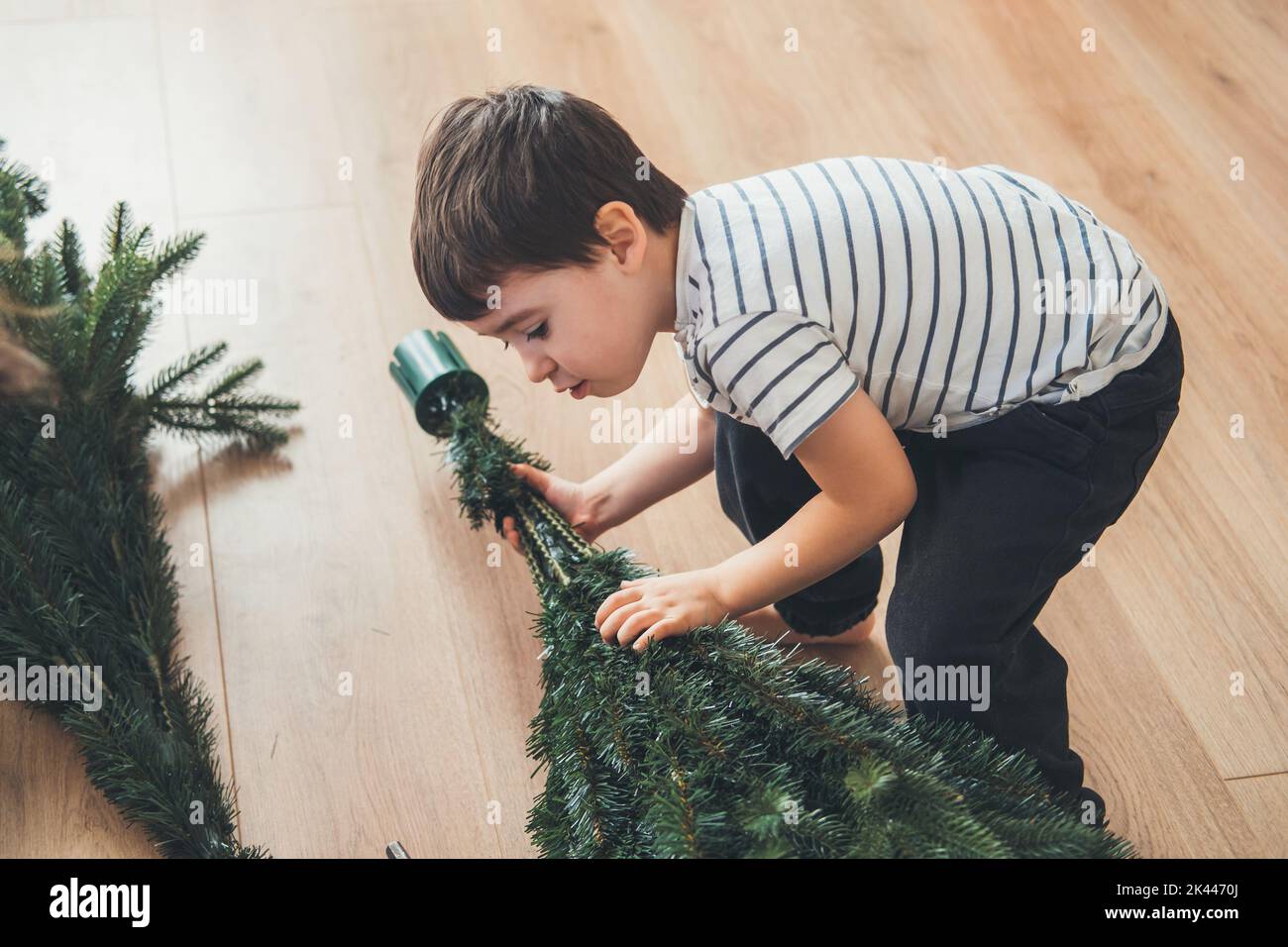 Boy trying to untie the branches of the artificial Christmas tree to ...