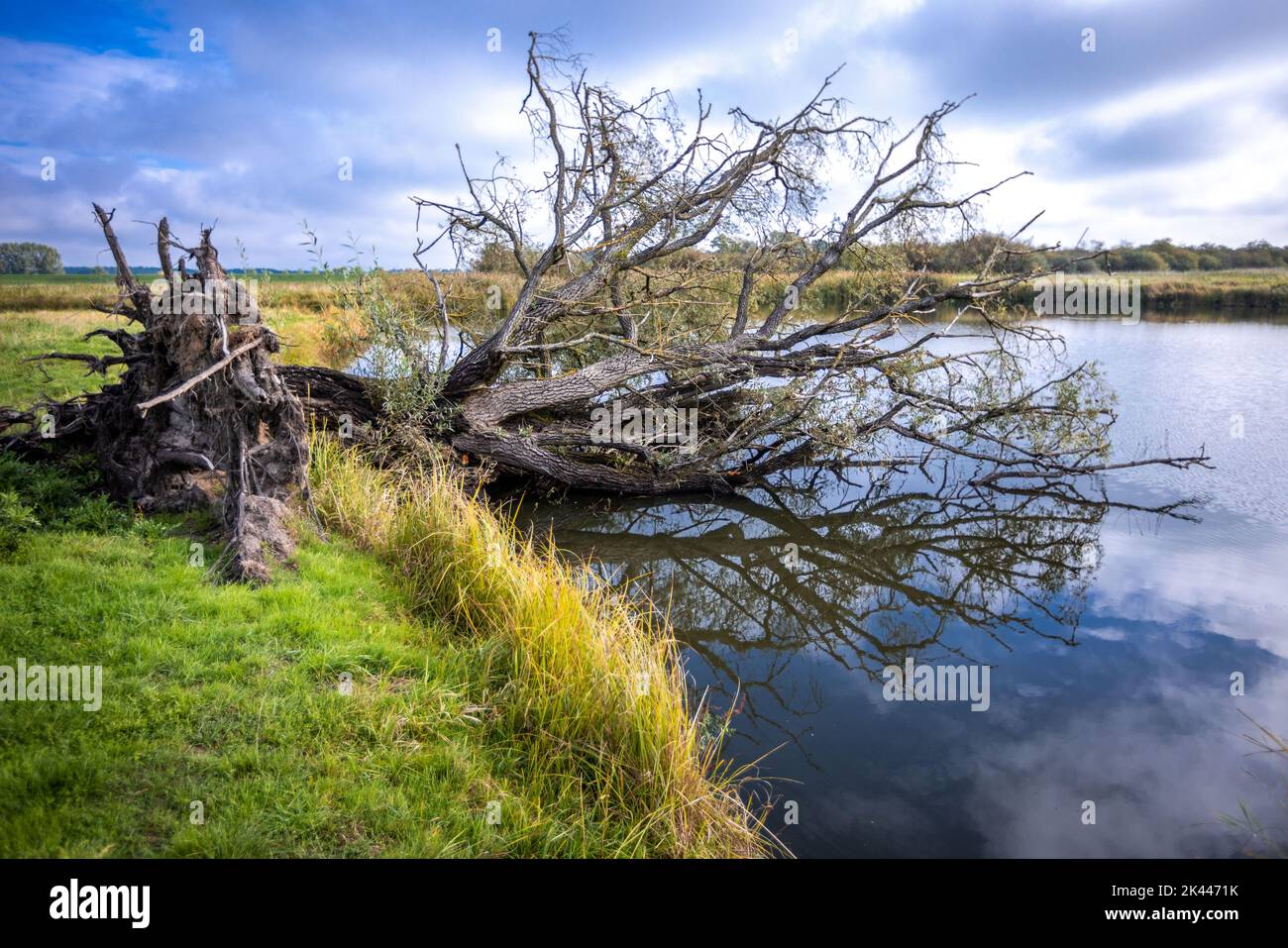 Suden lowlands hi-res stock photography and images - Alamy Suden lowlands hi-res stock photography and images - Alamy