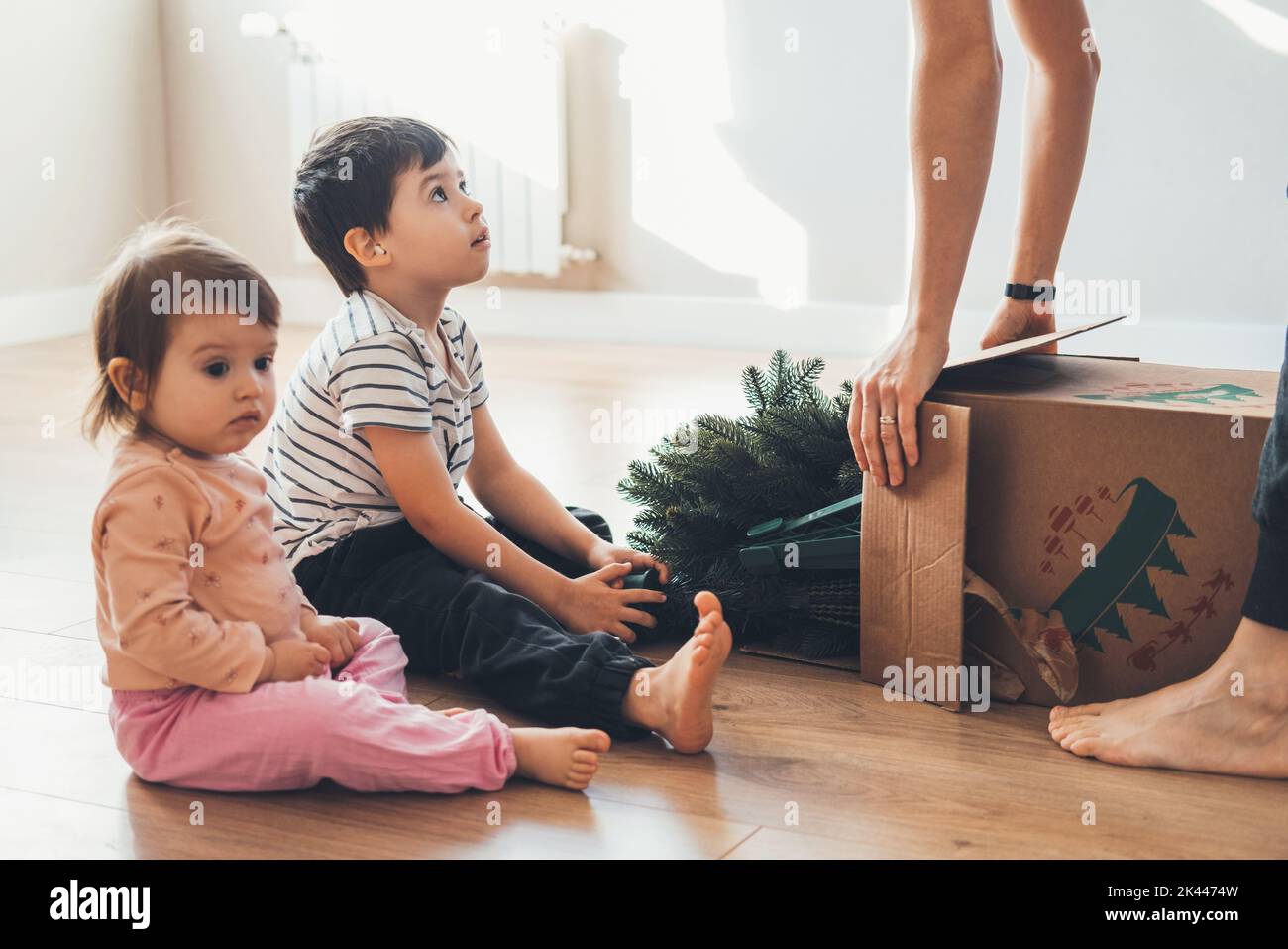 Young caucasian family unpacking Christmas decorations , looking ...