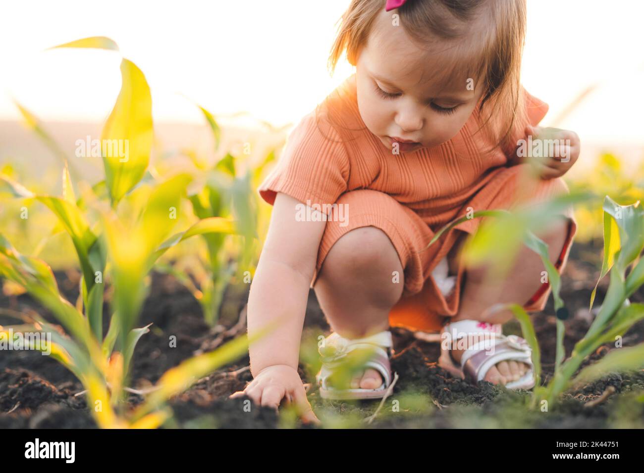 Close-up of a concentrated little girl digging in the ground, playing ...