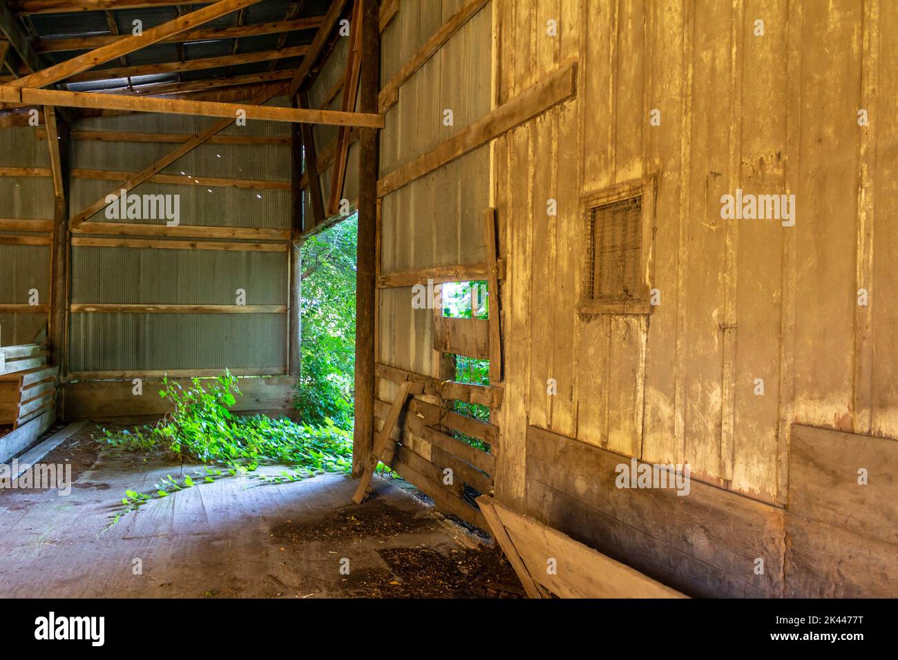 Close up interior view of a rustic old barn no longer in use, with worn and weathered wood and ...