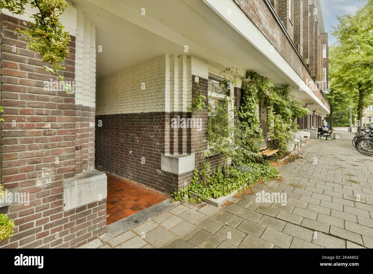 View of street near building with beauty of vegetation outside Stock ...