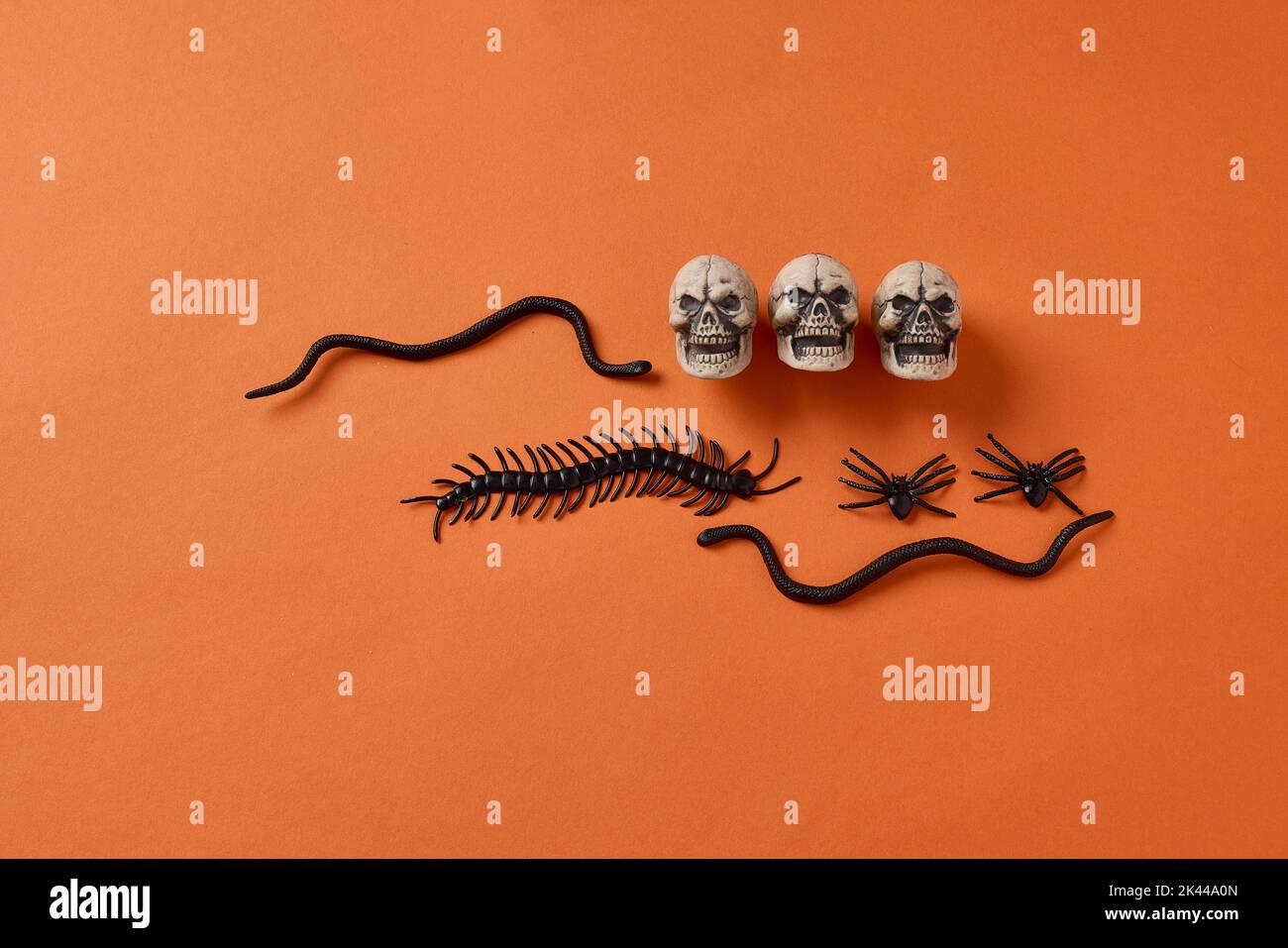 Orange seamless halloweeen background with white skulls, black snakes ...