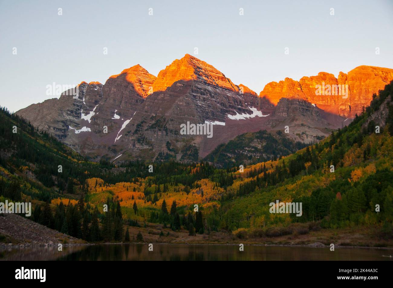 fall colors of aspen trees in maroon bells Stock Photo - Alamy