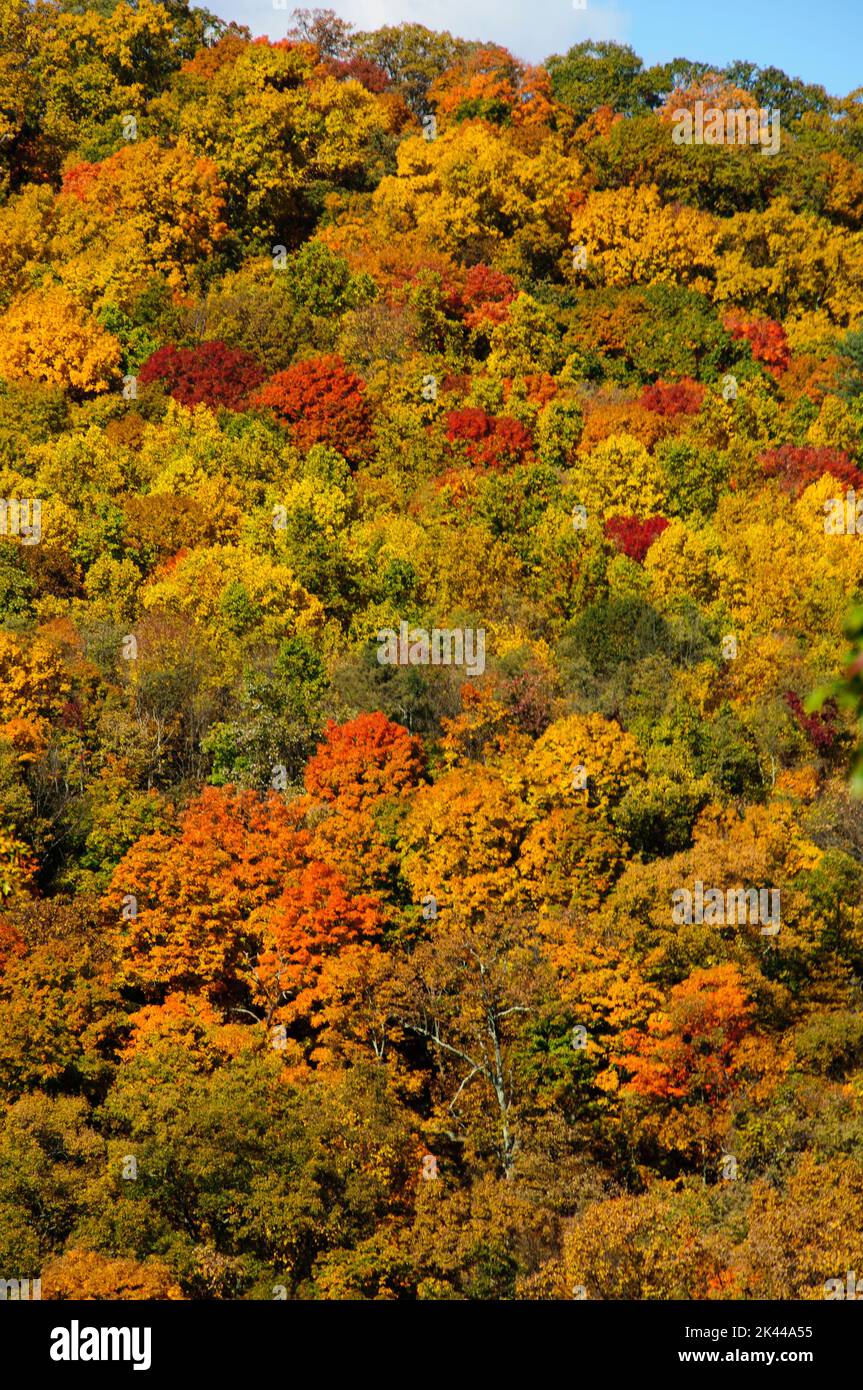 Scenic views of fall colors within the Blue Ridge Mountains Stock Photo ...