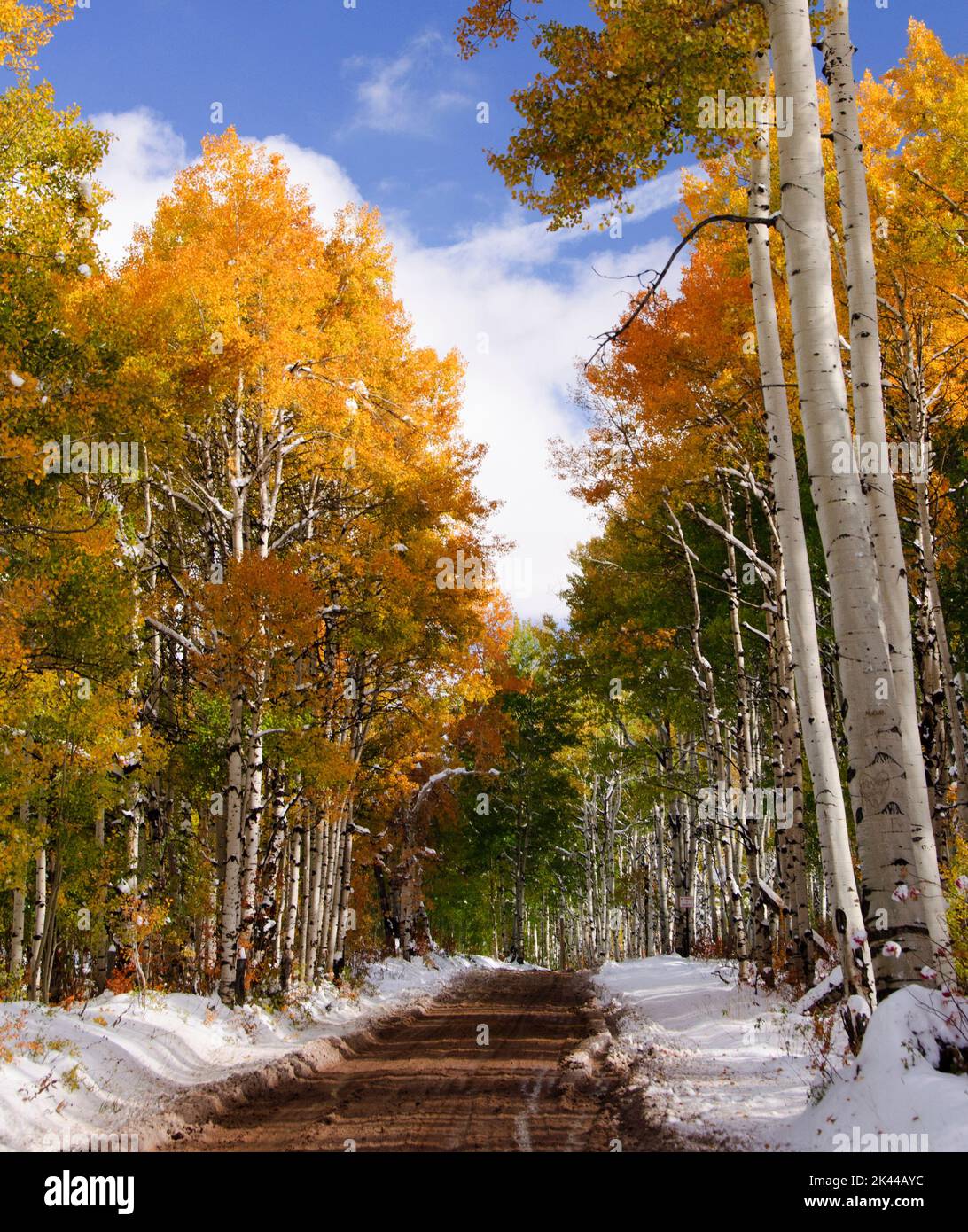 Fall colors in the Rocky Mountains Stock Photo - Alamy
