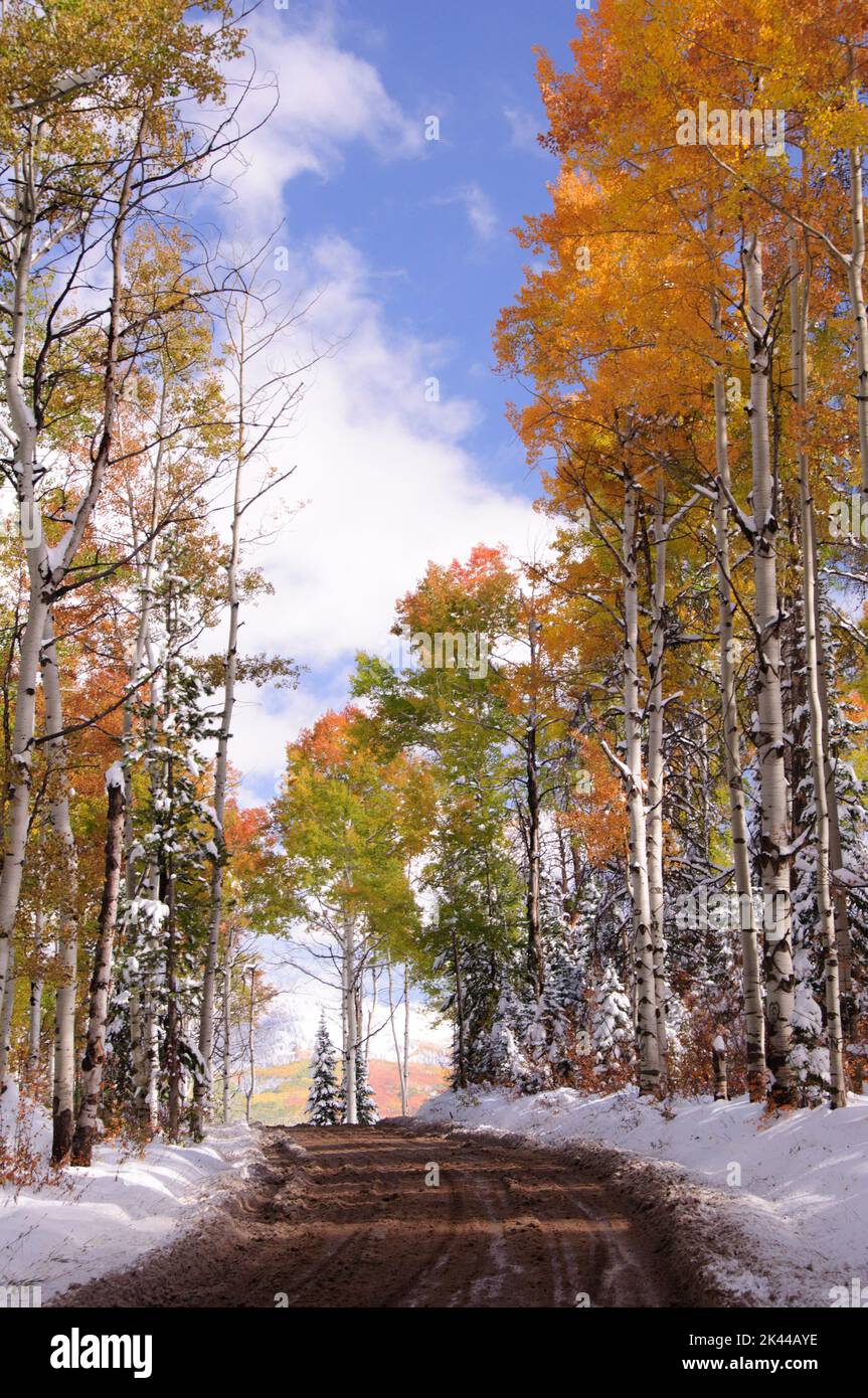 Fall colors in the Rocky Mountains Stock Photo - Alamy