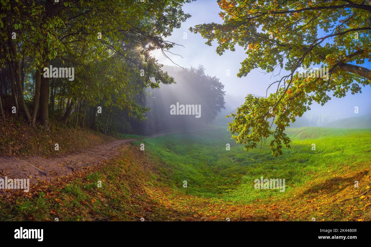 Autumn morning view in a mist with sun rising Stock Photo - Alamy
