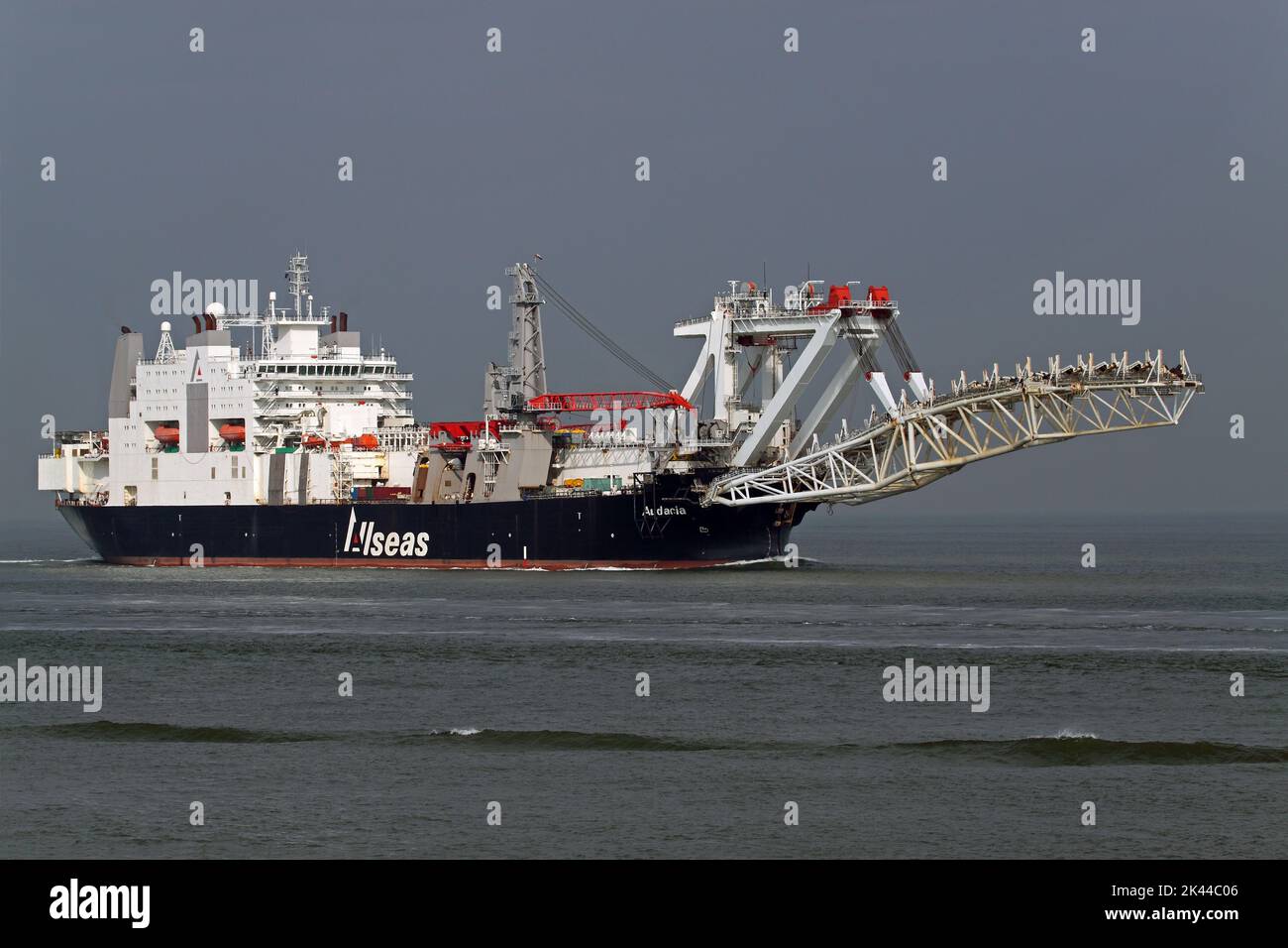 Audacia hi-res stock photography and images - Alamy