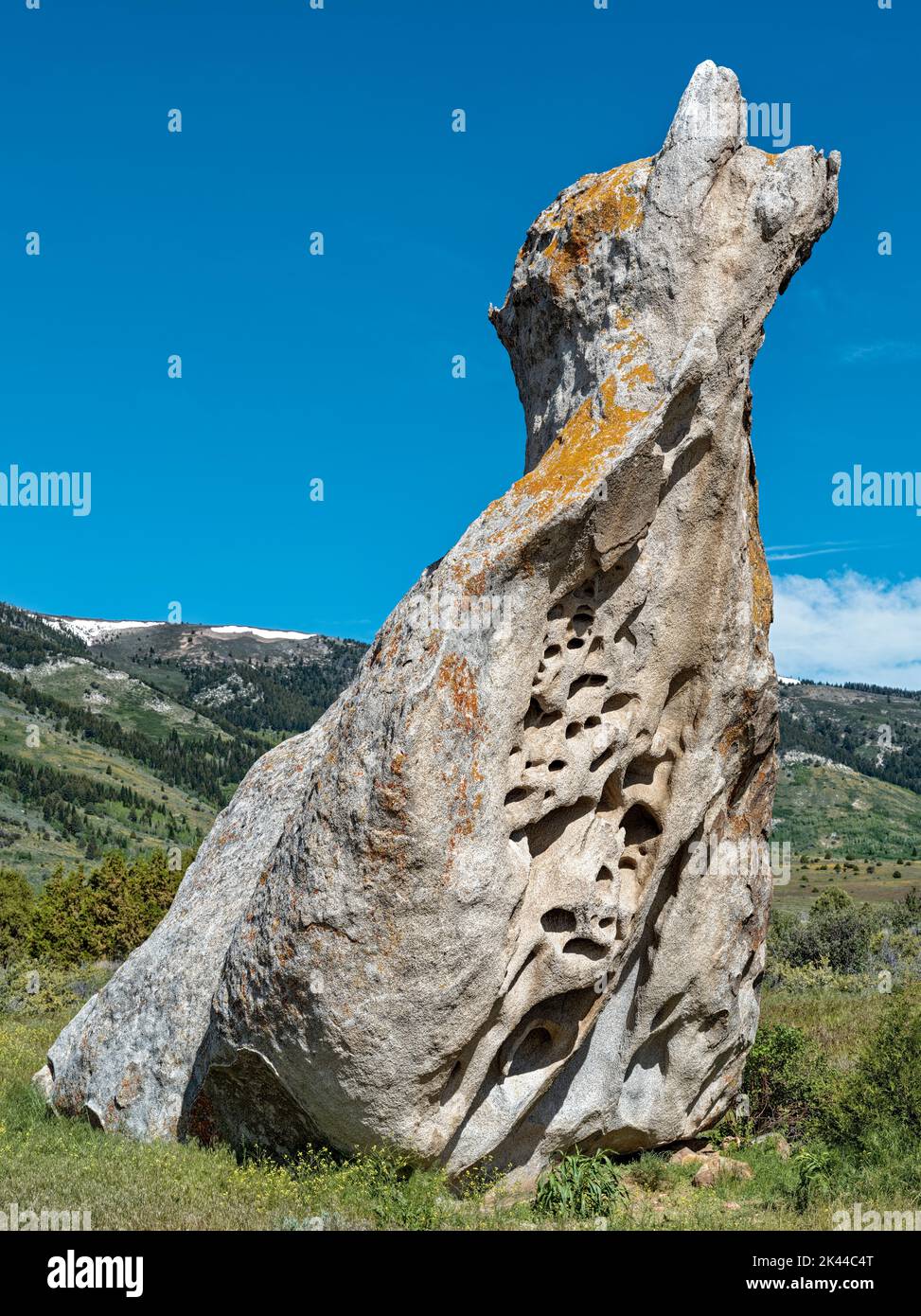 A large rock formation with honeycomb weathering at Castle Rocks State ...
