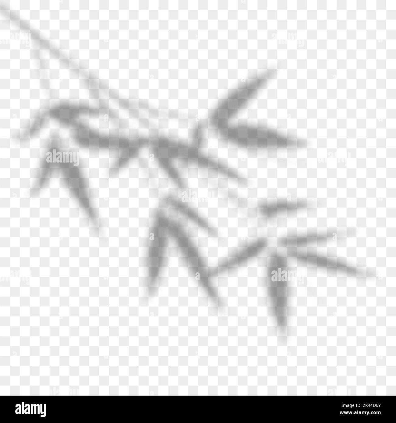 Overlay shadow of bamboo branch. Leaves of plants reflection on ...