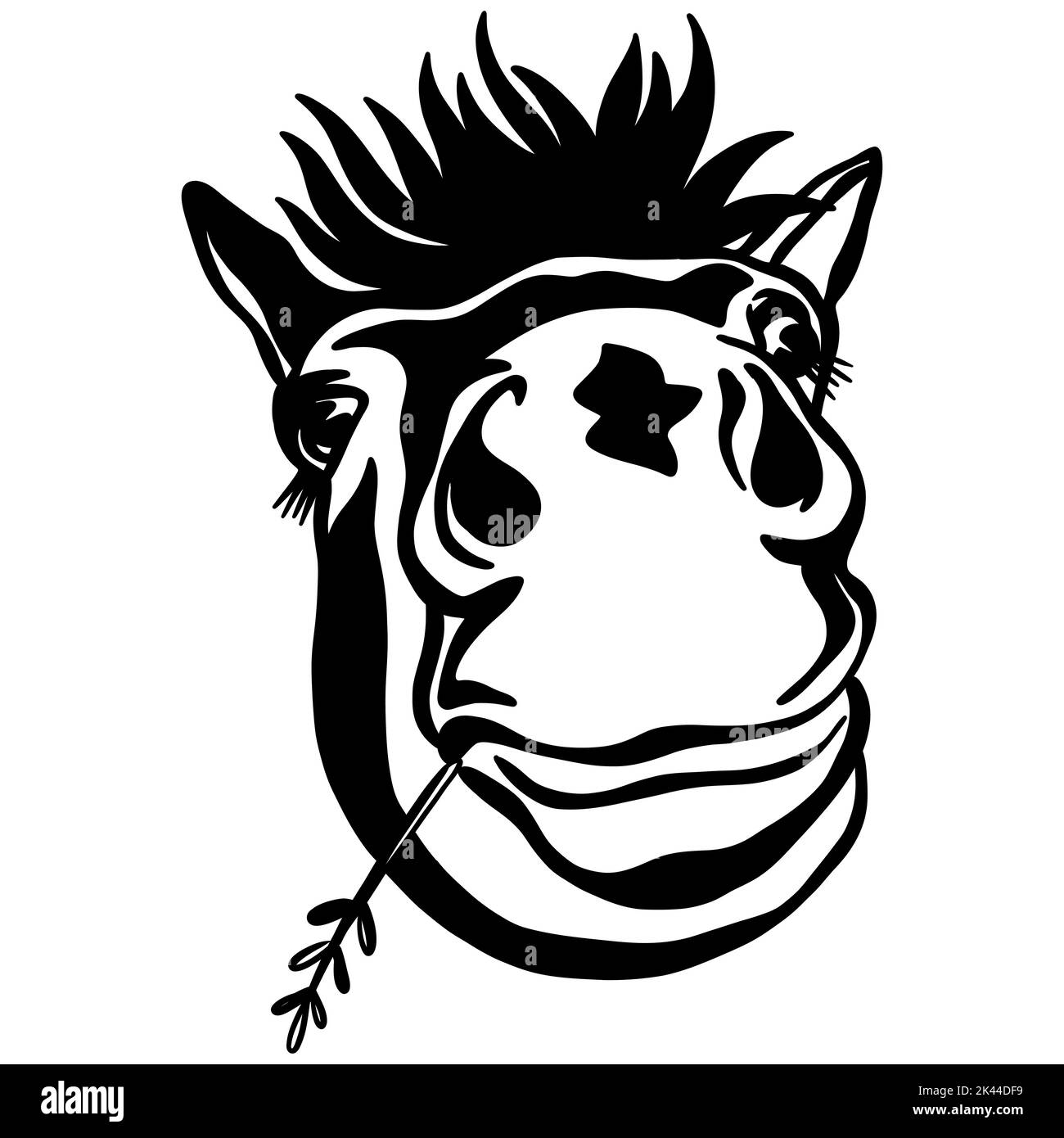 Funny black white horse in Black and White Stock Photos & Images - Alamy