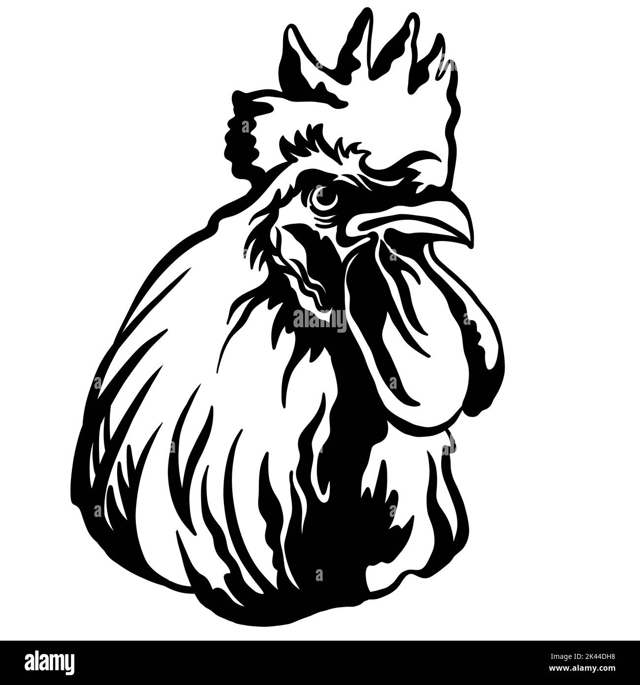 Angry rooster Cut Out Stock Images & Pictures - Alamy