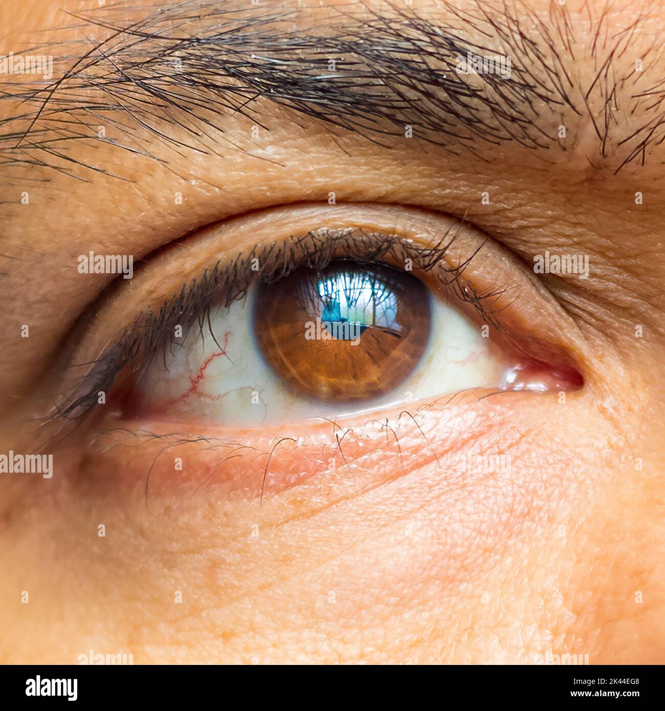 Man's brown eye looking out the window Stock Photo - Alamy