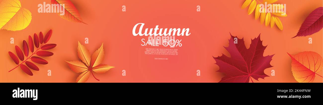 Autumn banner background with fall leaves. Shopping Discount promotion ...