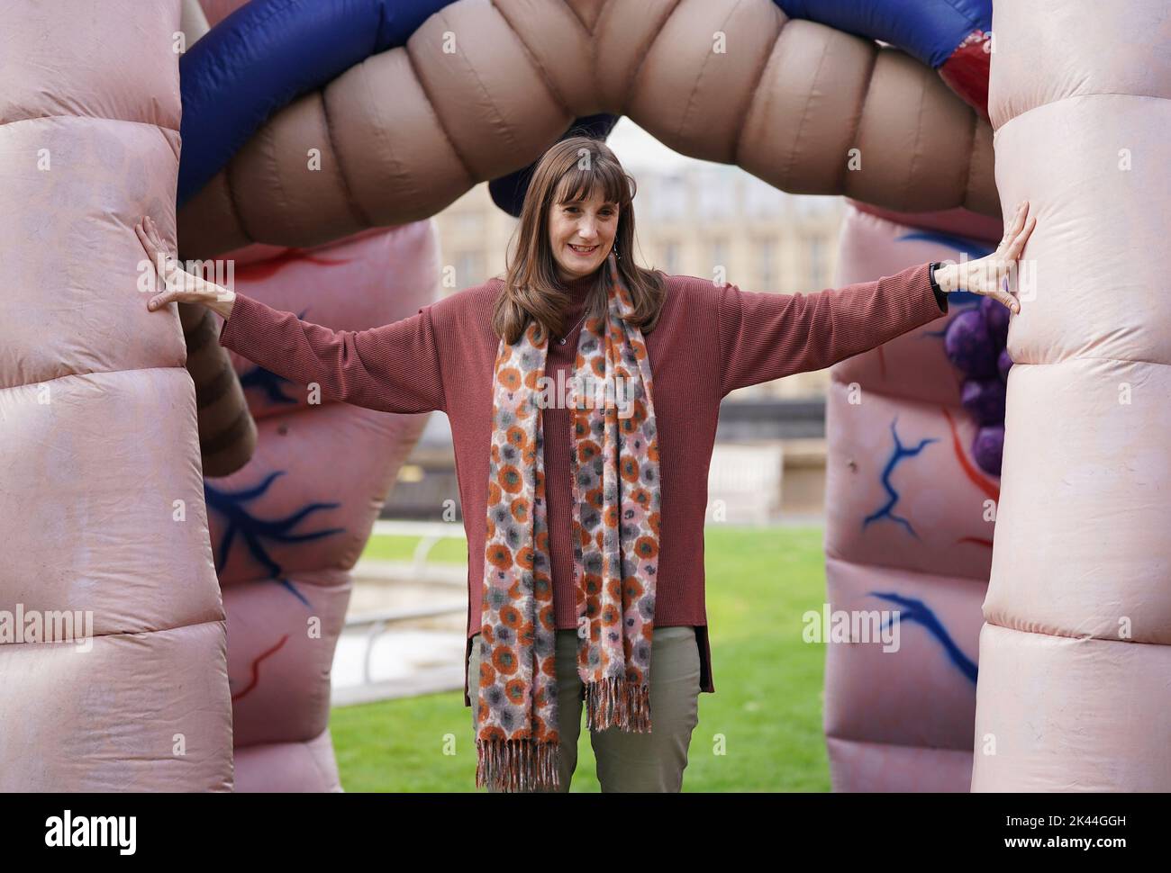 Cathy Brokenshire, a patron for Roy Castle Lung Foundation and widow of ...