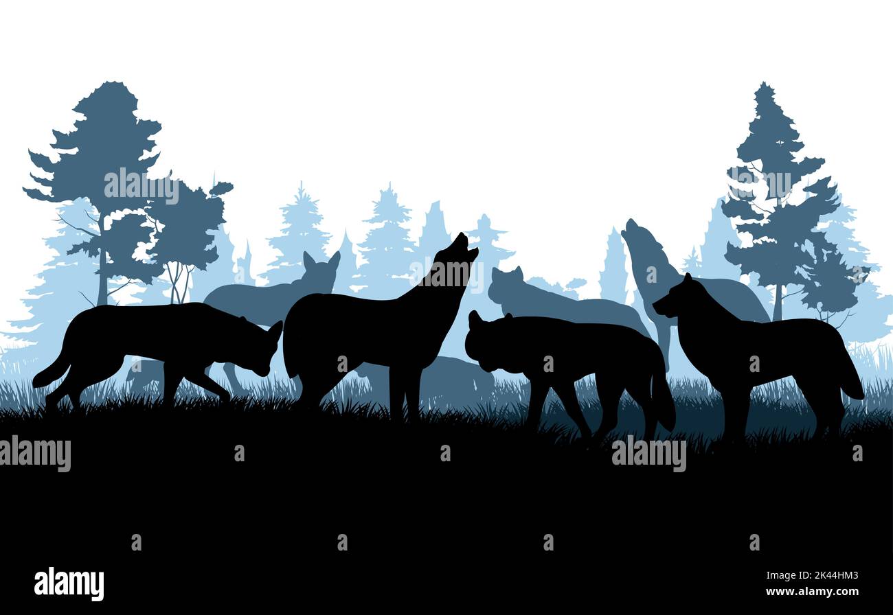 Pack of wolves in coniferous forest. Evening twilight. Silhouette ...