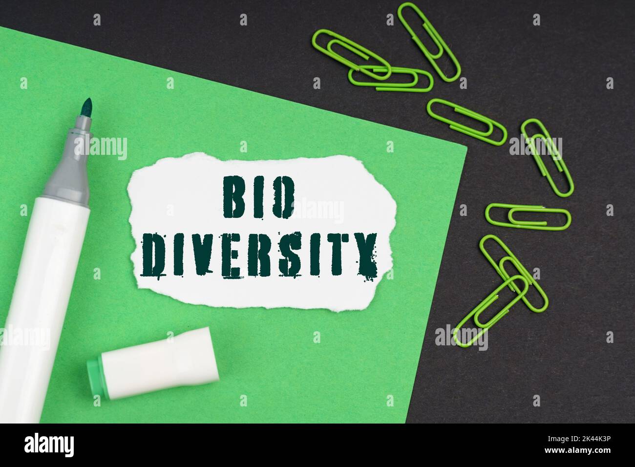 Ecology concept. On a black background, a marker, paper clips, a sheet ...