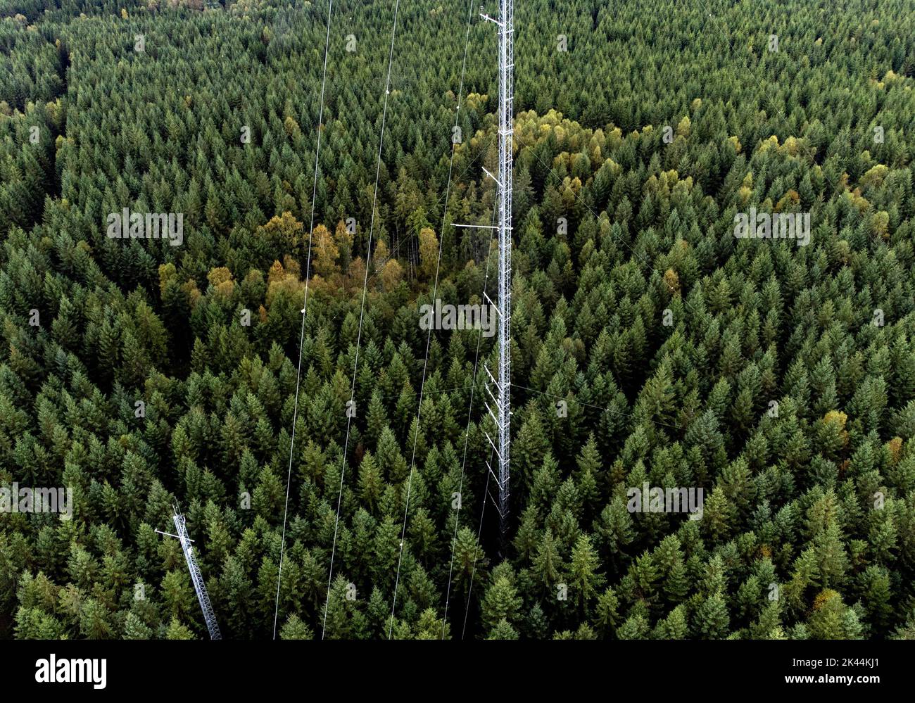 Research station ICOS in Hyltemossa in the forest outside Perstorp ...