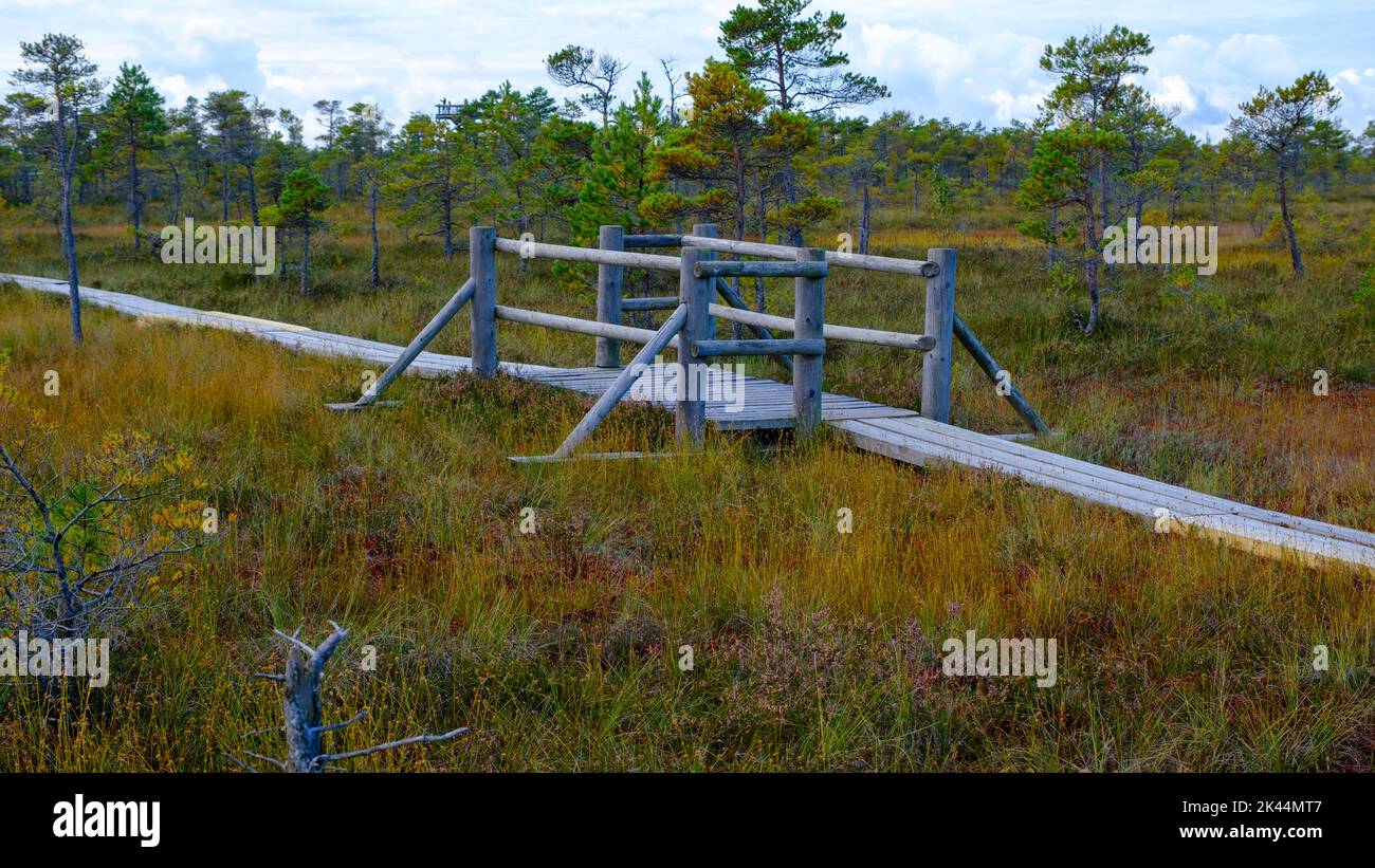 Kemeru, National Nature Park. A wooden path through marsh wetlands with ...