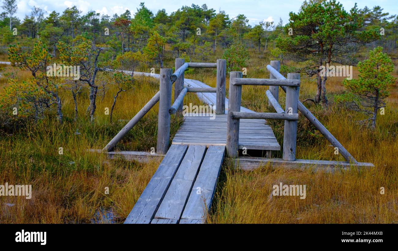 Kemeru, National Nature Park. A wooden path through marsh wetlands with ...
