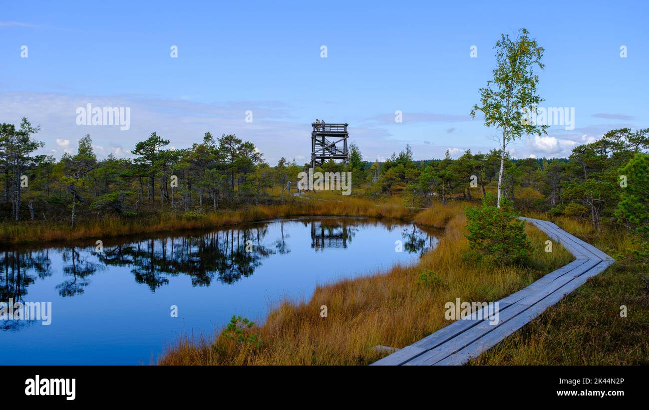 Kemeru, National Nature Park. A wooden path through marsh wetlands with ...