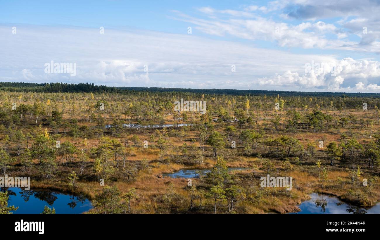 Dark bog lakes hi-res stock photography and images - Alamy
