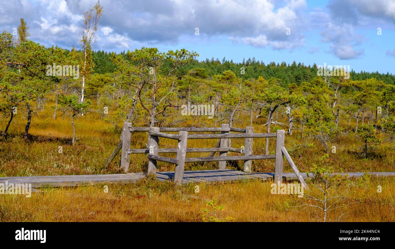 Kemeru, National Nature Park. A wooden path through marsh wetlands with ...