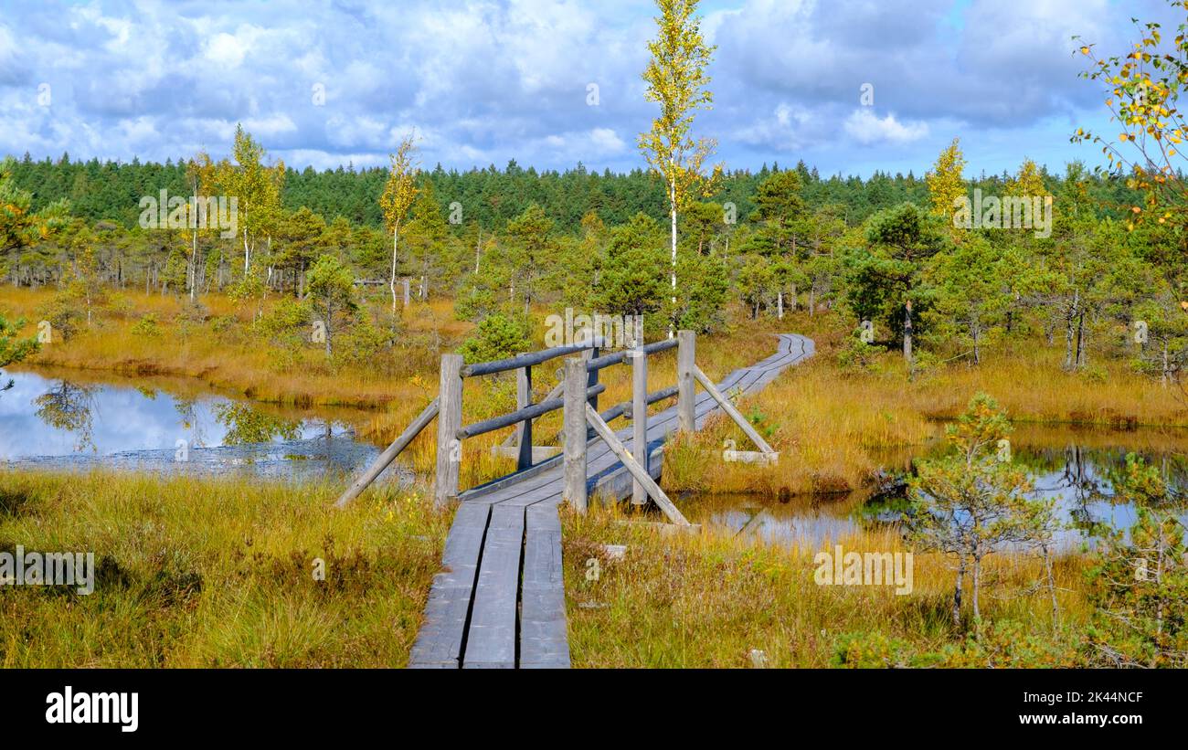 Kemeru, National Nature Park. A wooden path through marsh wetlands with ...