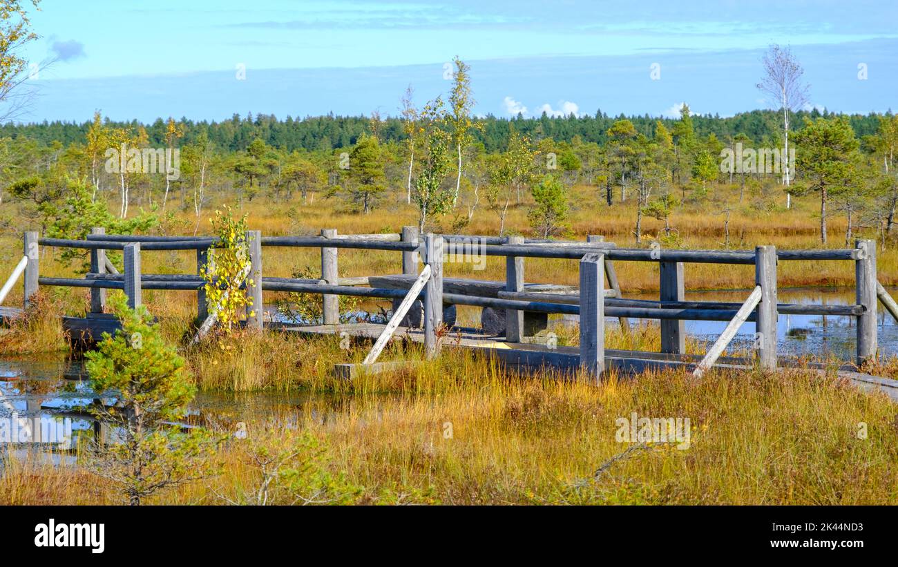 Kemeru, National Nature Park. A wooden path through marsh wetlands with ...