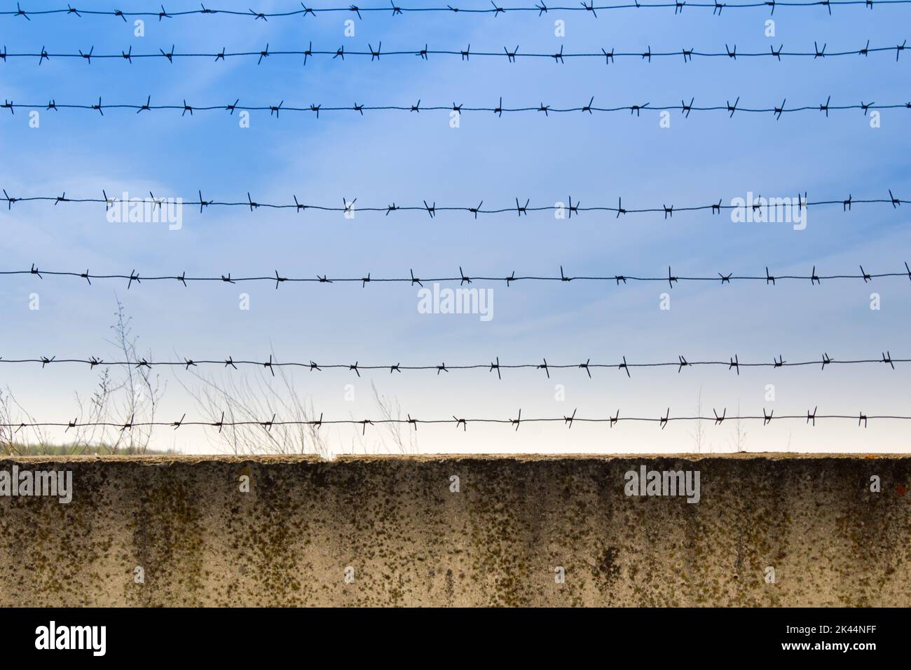 Barbed wire prison. Blue sk and fence. Territory protection. Horizontal ...