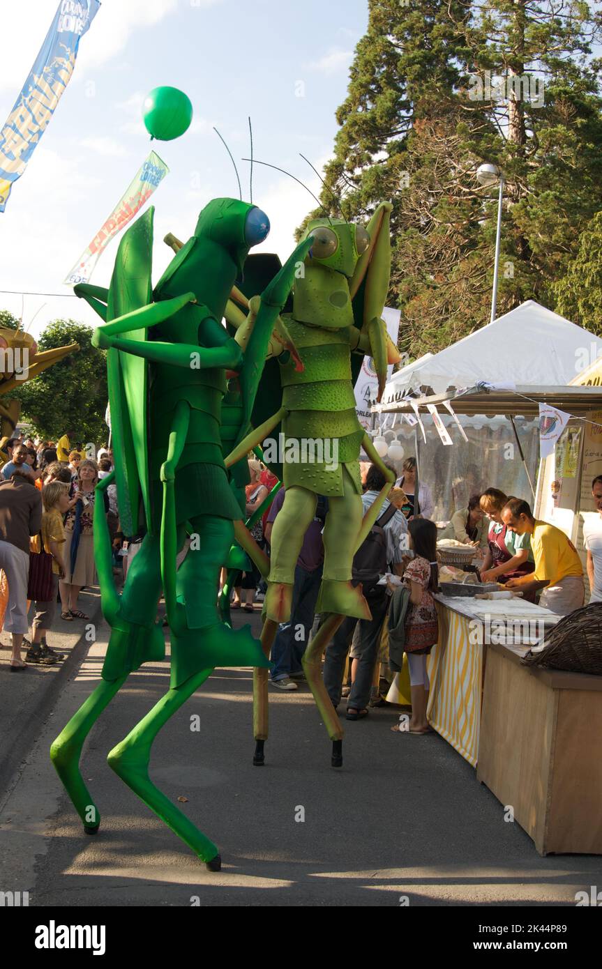 People dressed as insects hi-res stock photography and images - Alamy