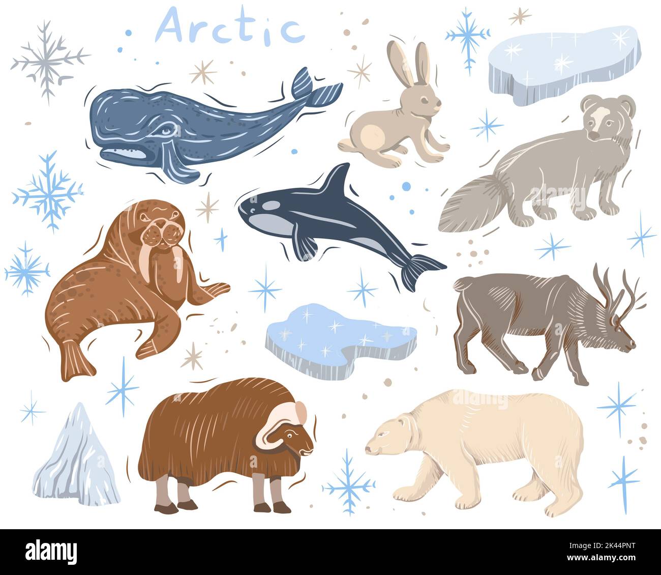 arctic animals nature wild world cold north cute cartoon ice snowflake ...