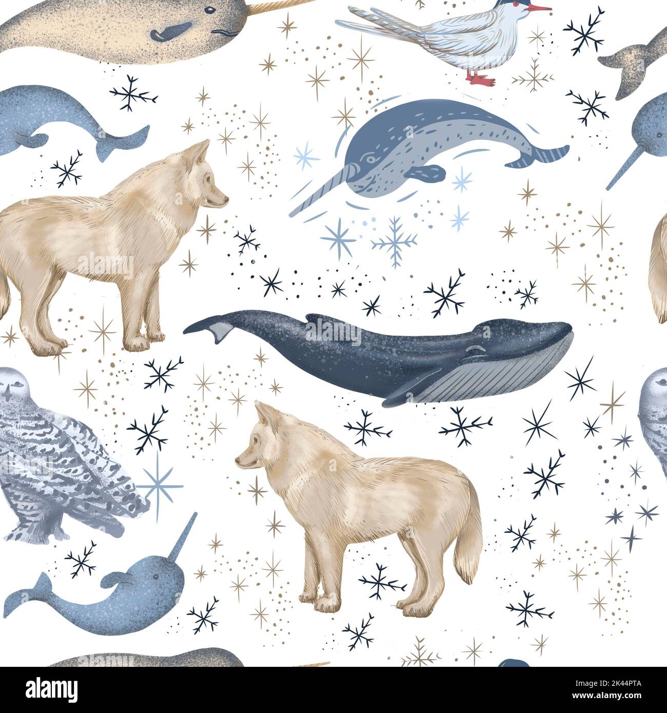 Antarctica blue whale Cut Out Stock Images & Pictures - Alamy