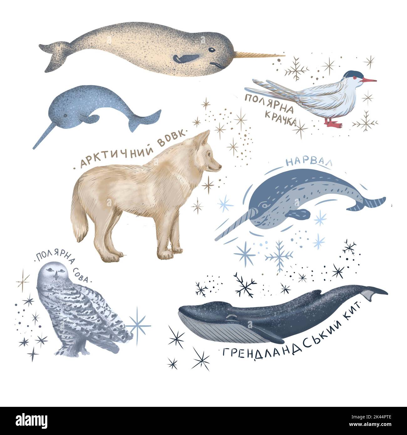 arctic animals nature wild world cold north cute cartoon ice snowflake ...